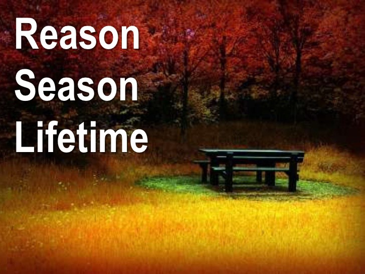 Reason, Season, Lifetime People – Tanya's Two Cents